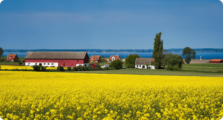 Vår produkt | Nilex